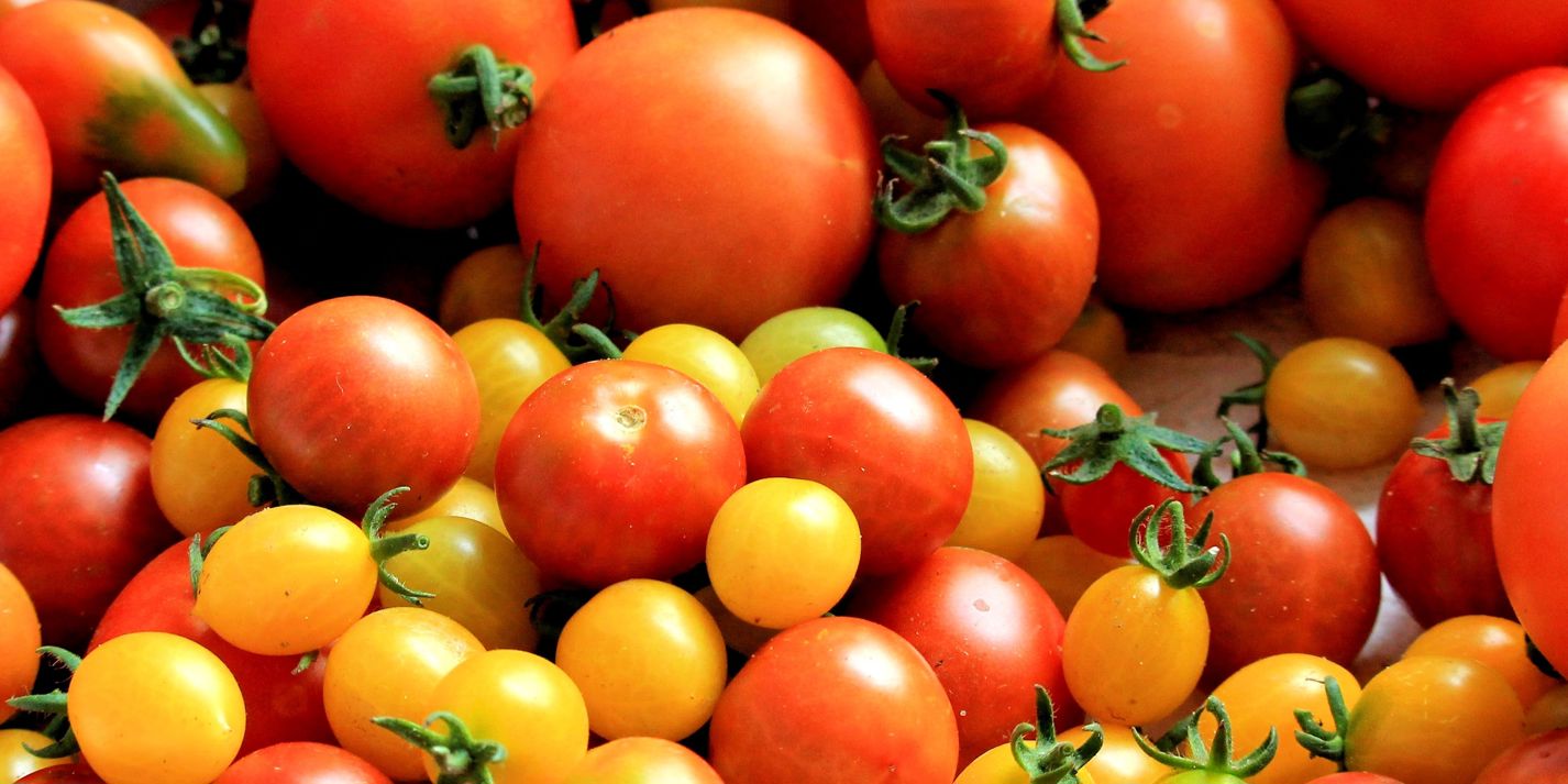 Somms On Toms: How To Pair Wine With Tomatoes - Great British Chefs