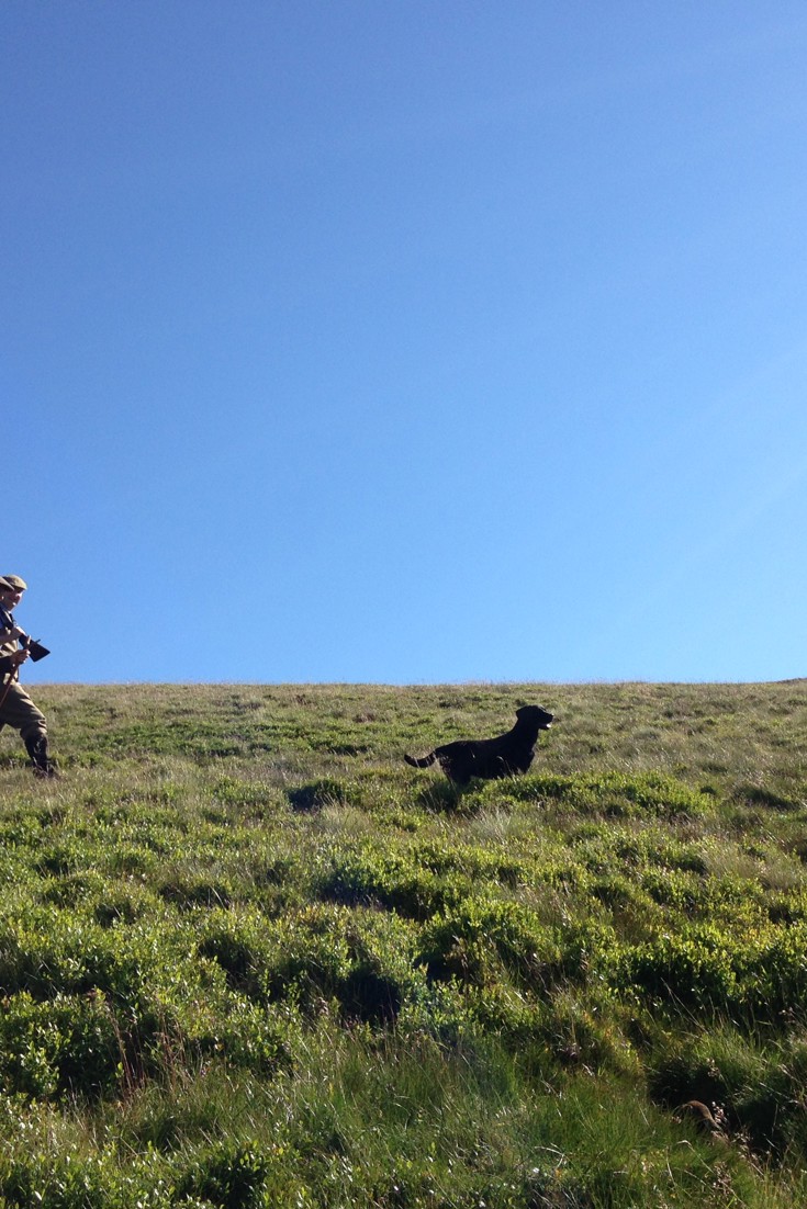 Grouse Hunting: The Glorious Twelfth - Great British Chefs