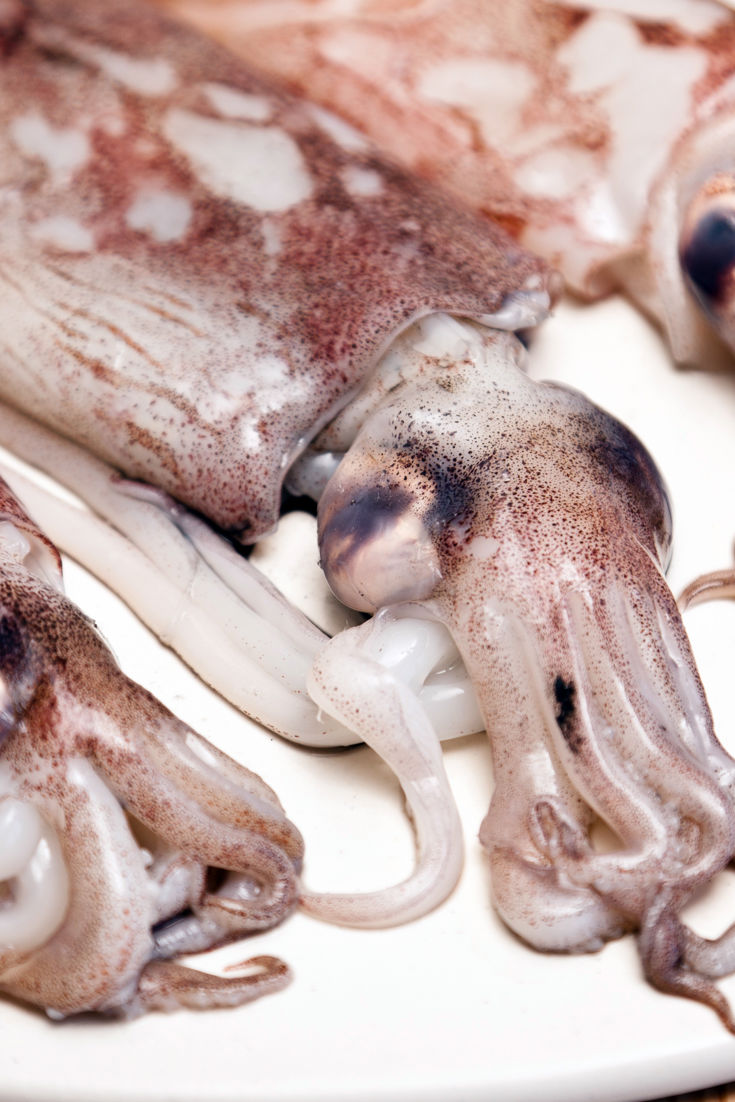 Squid Recipes: Squid Ink Risotto, Fried Squid - Great British Chefs