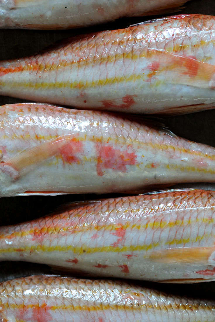 Red Mullet Recipes - Great Italian Chefs
