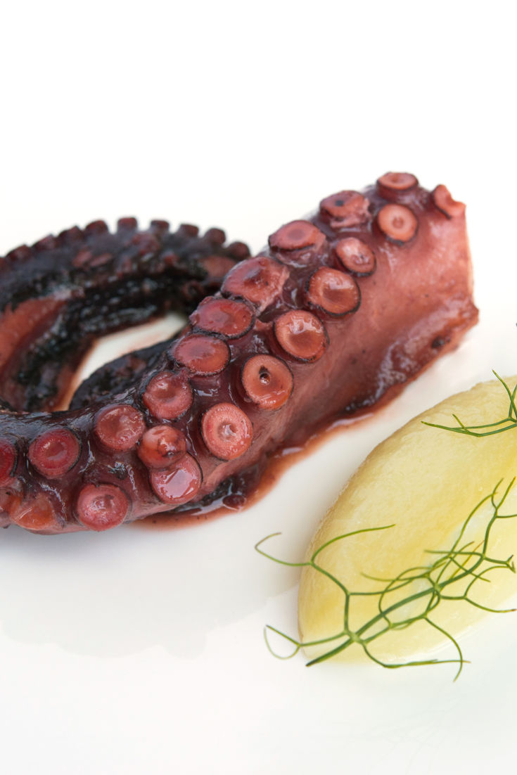 Braised Octopus Recipe with Pink Grapefruit - Great Italian Chefs