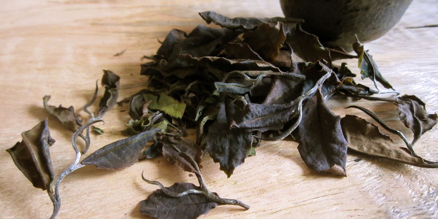 Reading the Leaves: The World of Exotic Tea - Great British Chefs