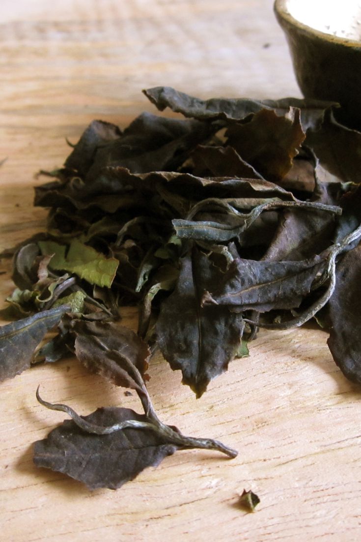 Reading the Leaves: The World of Exotic Tea - Great British Chefs