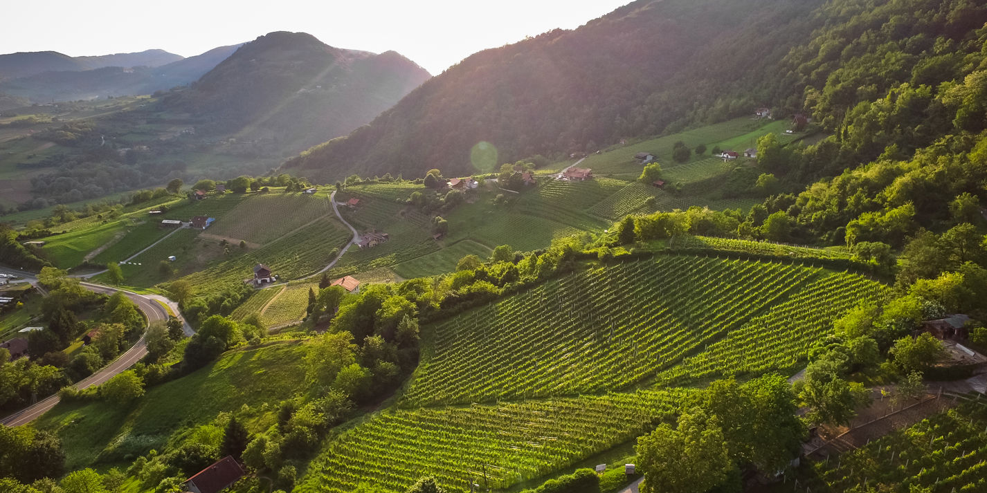 Jonathan Vardon - Great British Chefs