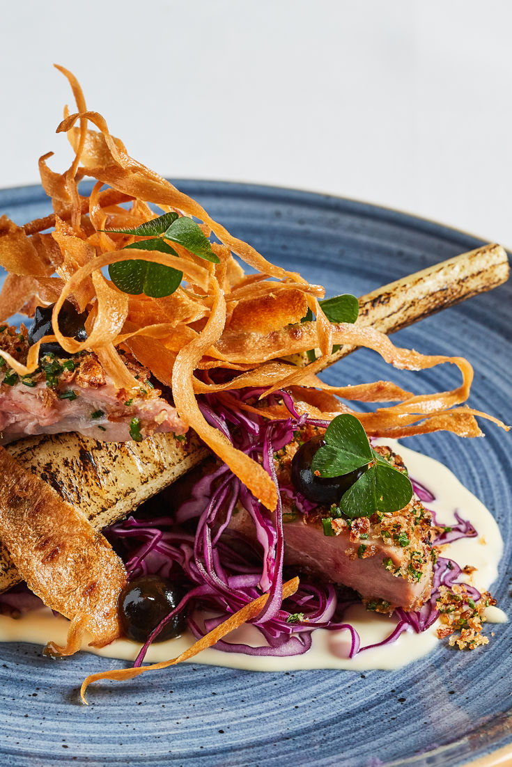 Partridge with Red Cabbage and Parsnips Recipe - Great British Chefs