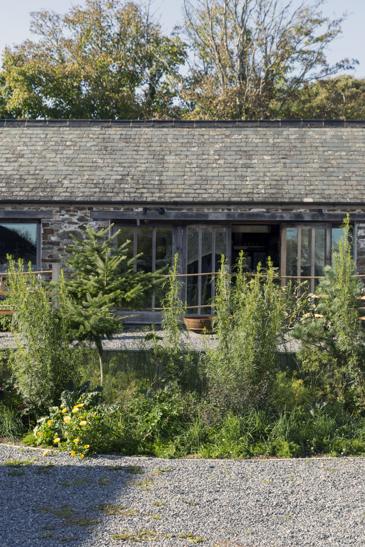 Dan Cox's Debut Restaurant – Crocadon, Cornwall - Great British Chefs