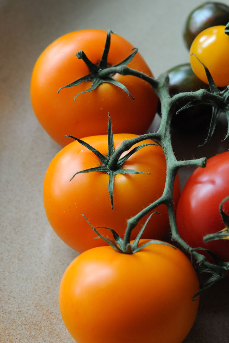 A Guide to Flavour Pairing: Tomatoes - Great British Chefs