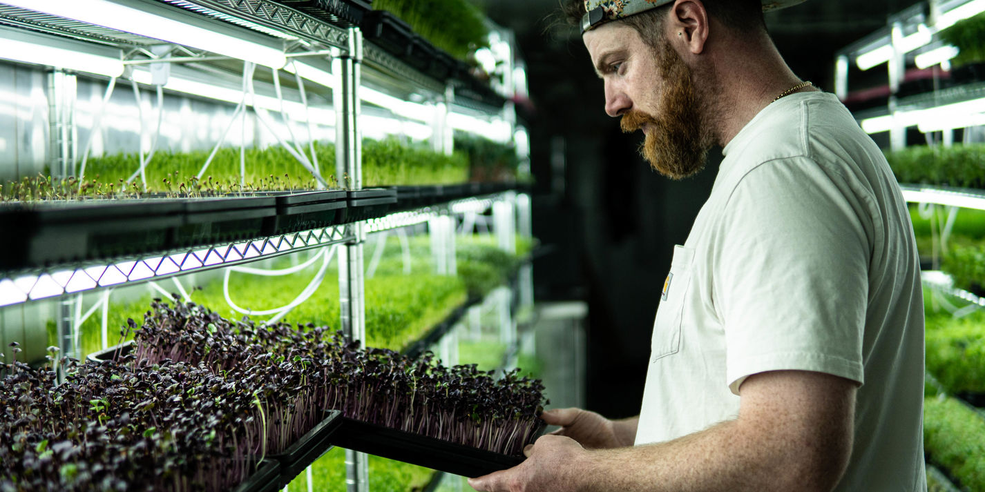 Meeting The UK's Micro Herb Growers - Great British Chefs