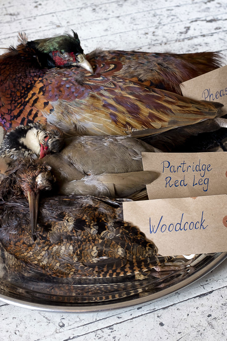 Game On: A Guide To Britain’s Wild Birds - Great British Chefs