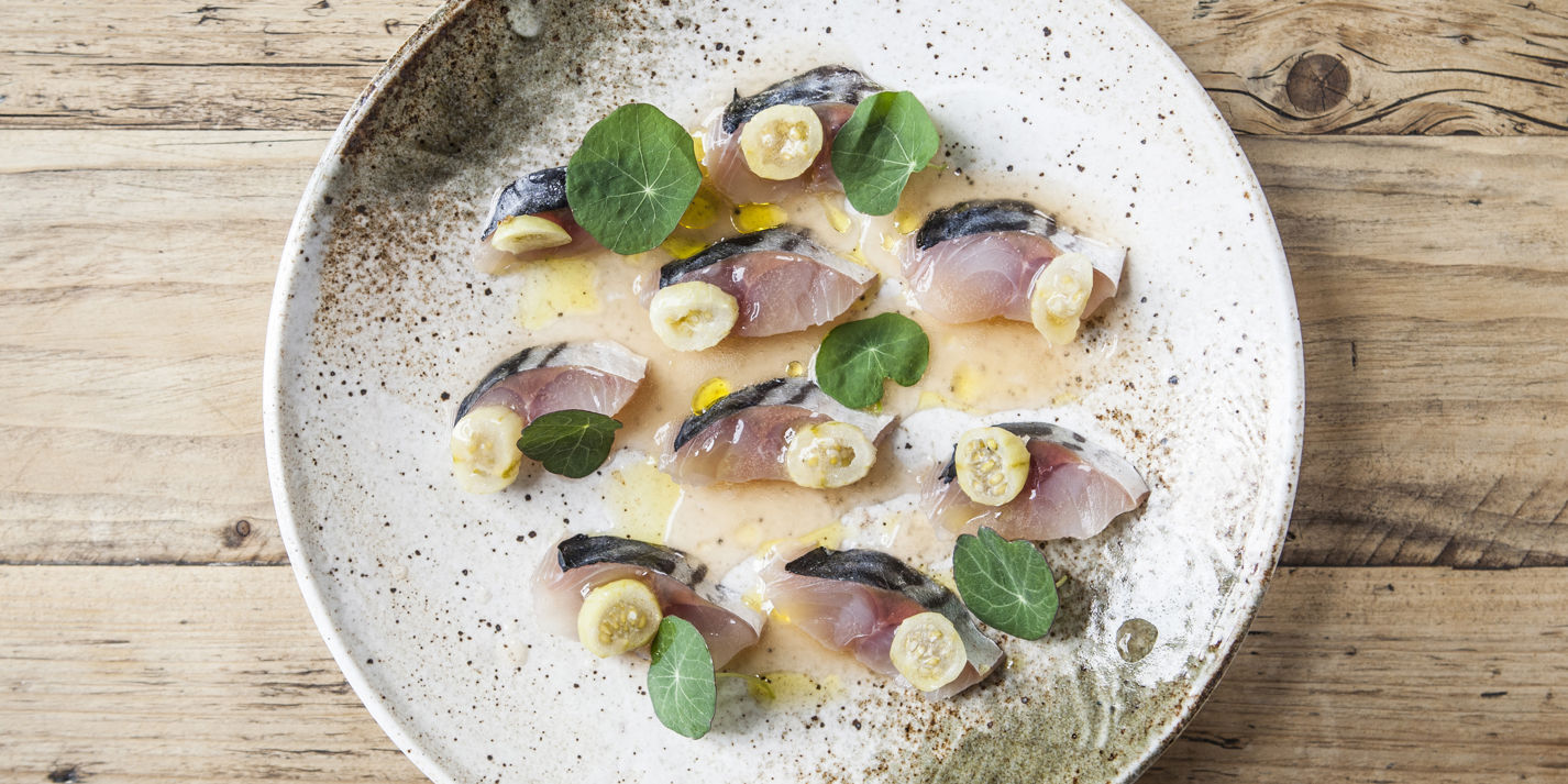Fermented Mackerel Mackerel As Food Wikipedia