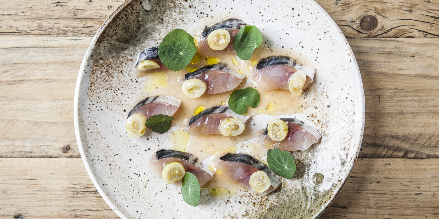 Cured Mackerel Recipe with Fermented Gooseberries - Great British Chefs