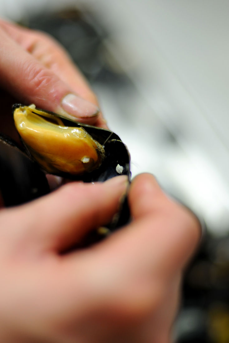How to Remove Cooked Mussels from their Shells - Great Italian Chefs