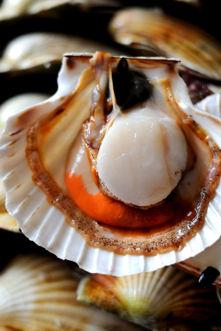 7 different ways to cook Cornish seafood [from the Rick Stein Fresh ...