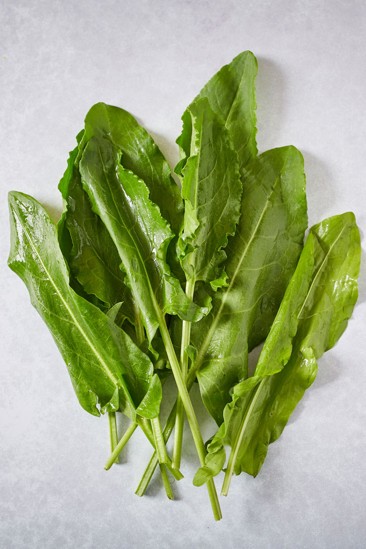 Sorrel Recipes - Great British Chefs