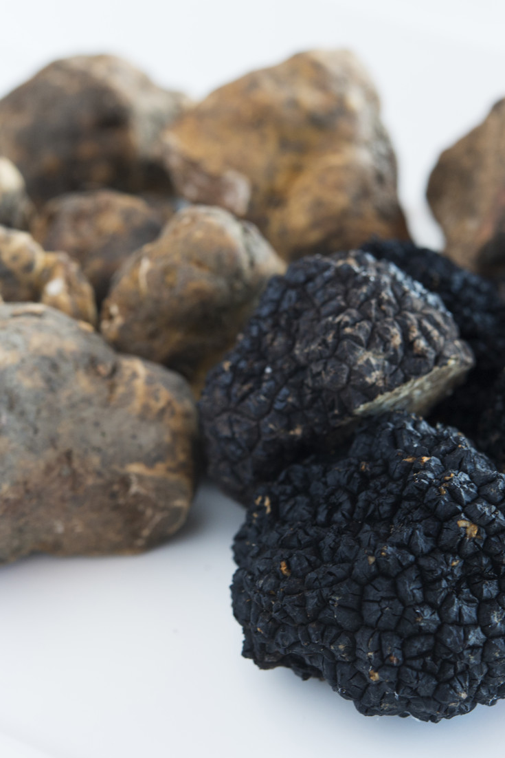 Truffle Recipes - Great Italian Chefs