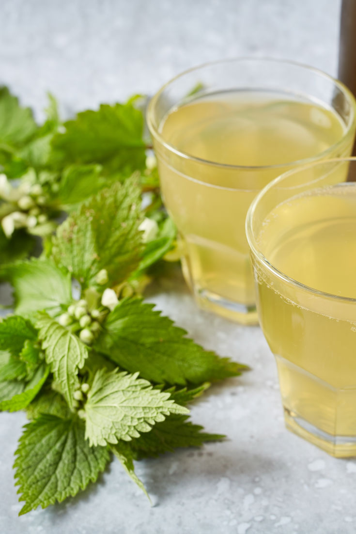 Nettle Beer Recipe - Great British Chefs