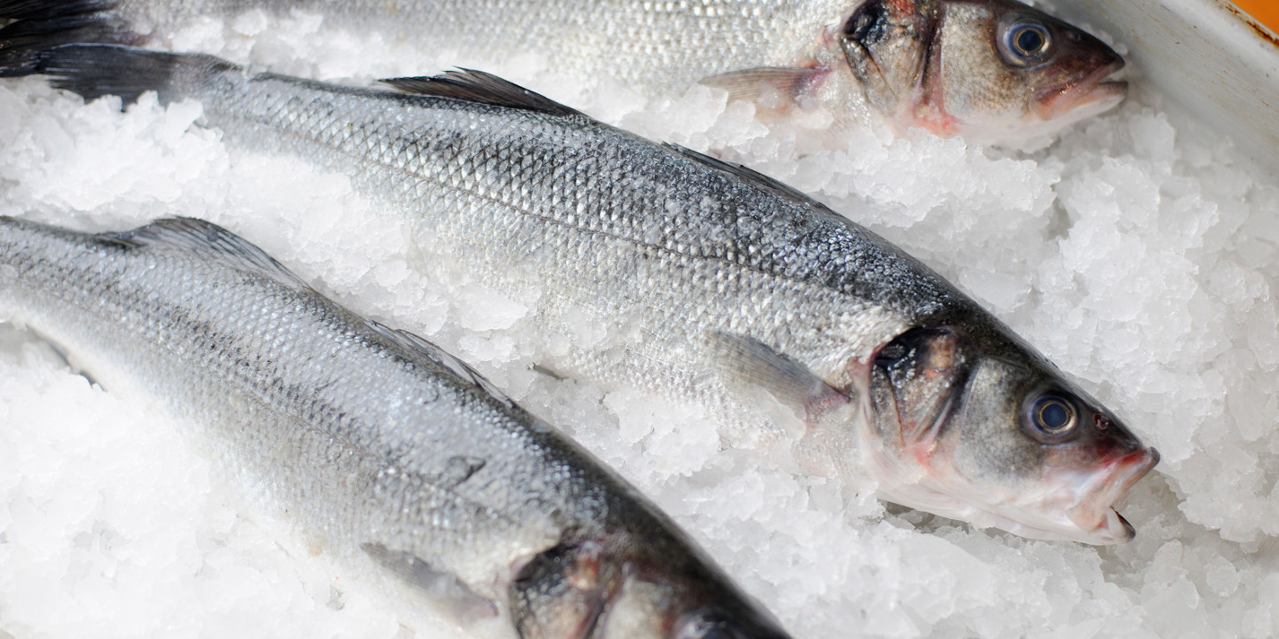 How to Cook Sea Bass - Great British Chefs