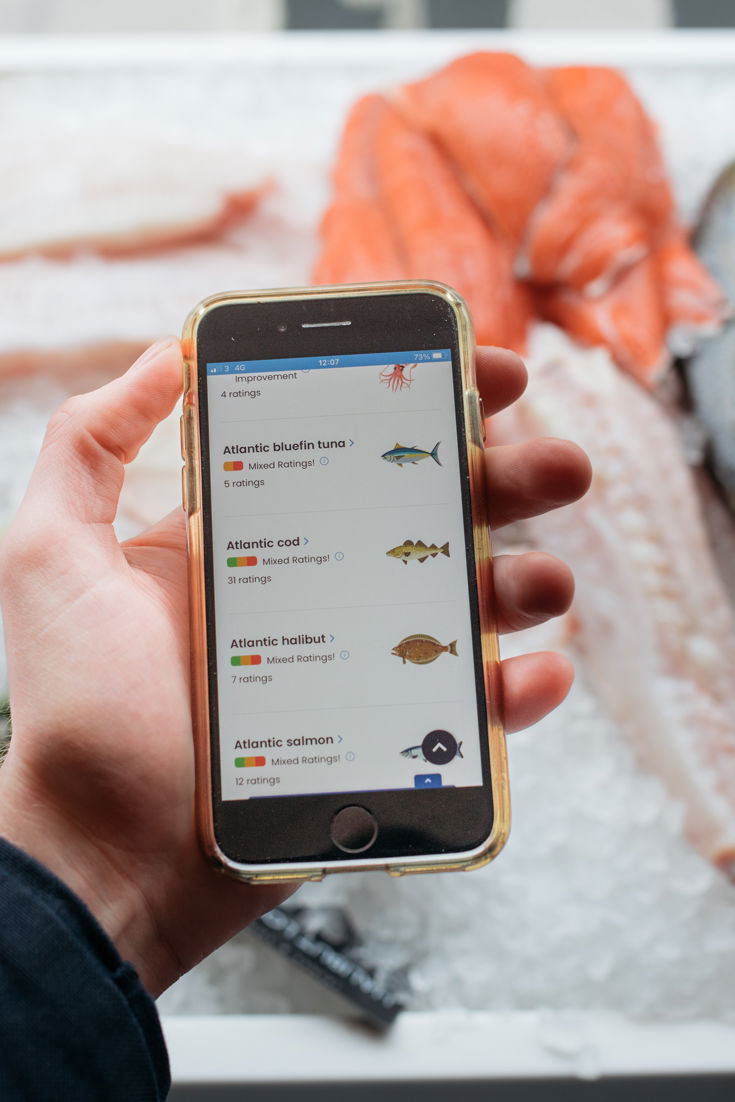 5 Simple And Sustainable Seafood Swaps And How To Cook Them - Great ...