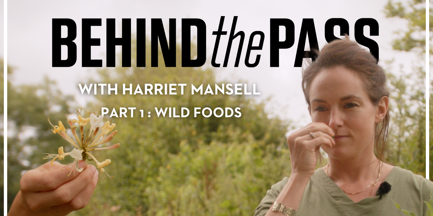 Harriet Mansell on Wild Foods - Great British Chefs