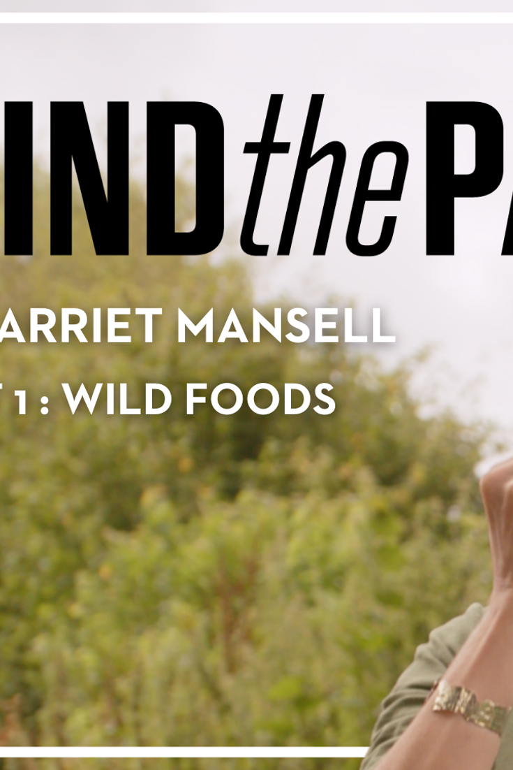 Harriet Mansell on Wild Foods - Great British Chefs