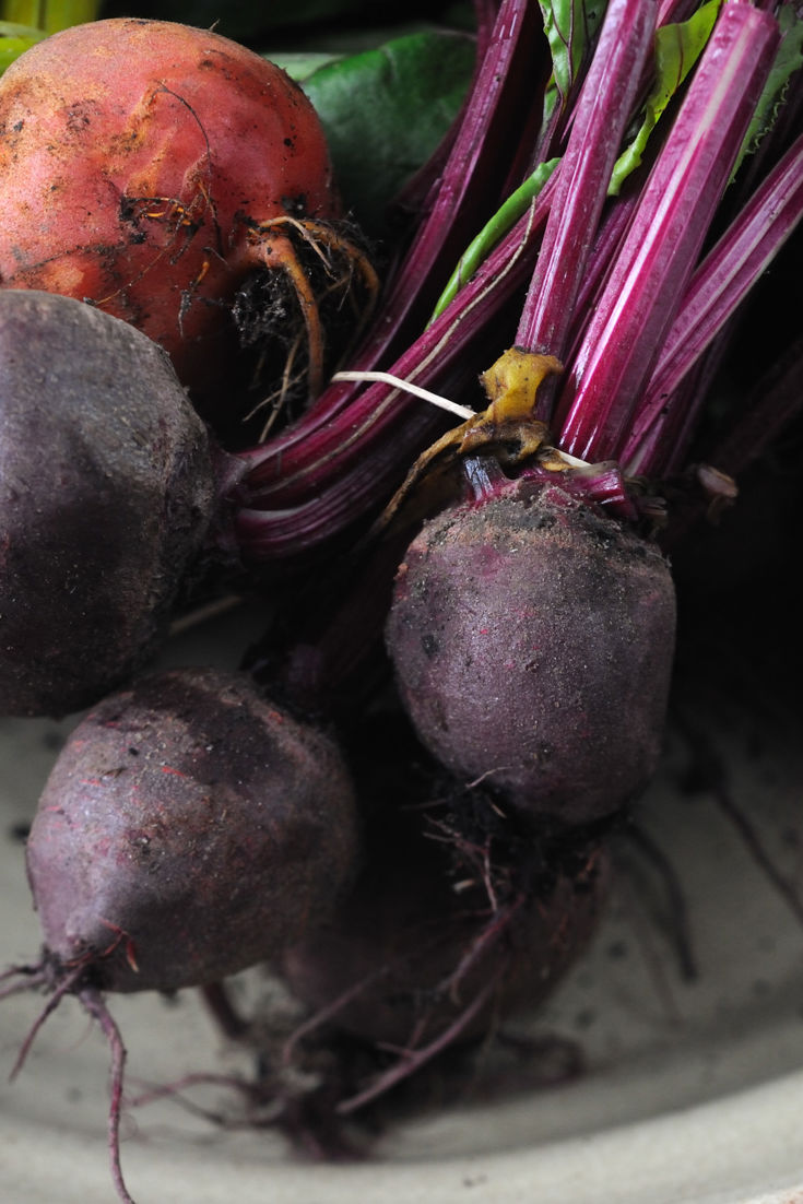 Beetroot Recipes: Tart, Pickled, Salad, Smoked - Great British Chefs