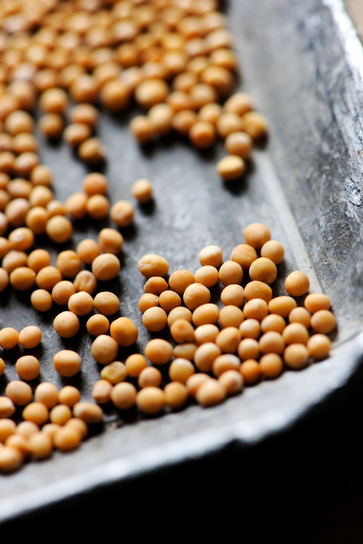 How to Make Mustard - Great British Chefs