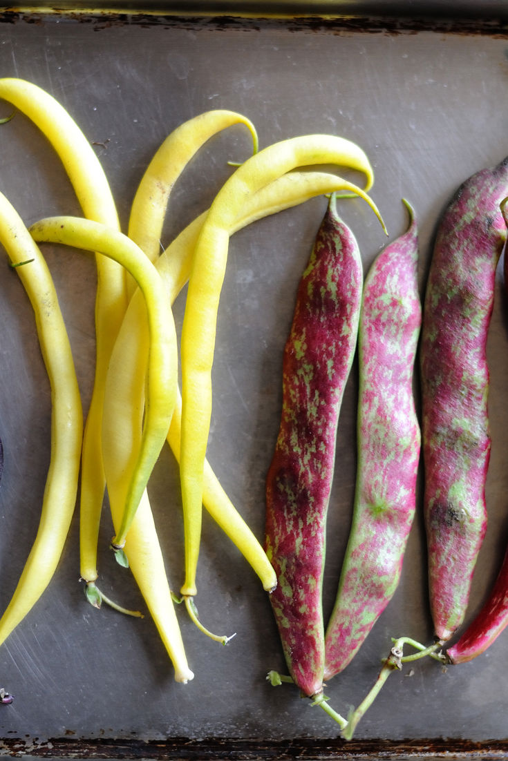 Bean Recipes: Broad Beans, Butter Beans - Great British Chefs