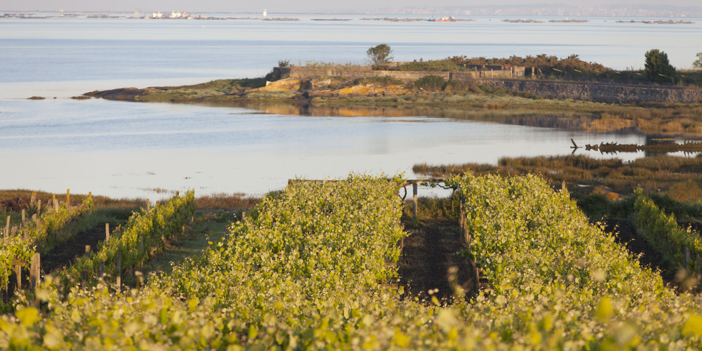 The wine regions of Spain: Rías Baixas - Great British Chefs