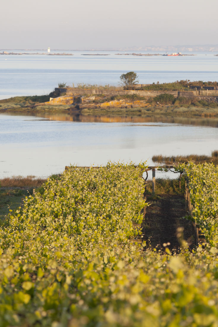 The wine regions of Spain: Rías Baixas - Great British Chefs