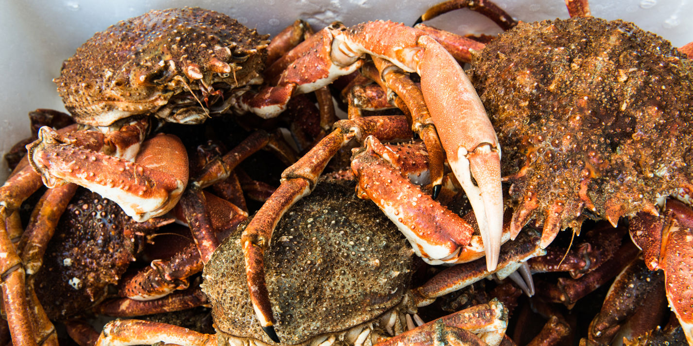 How To Cook Crab Great British Chefs
