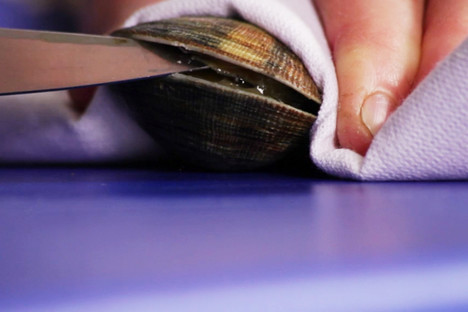 How to Open a Clam Video - Great British Chefs