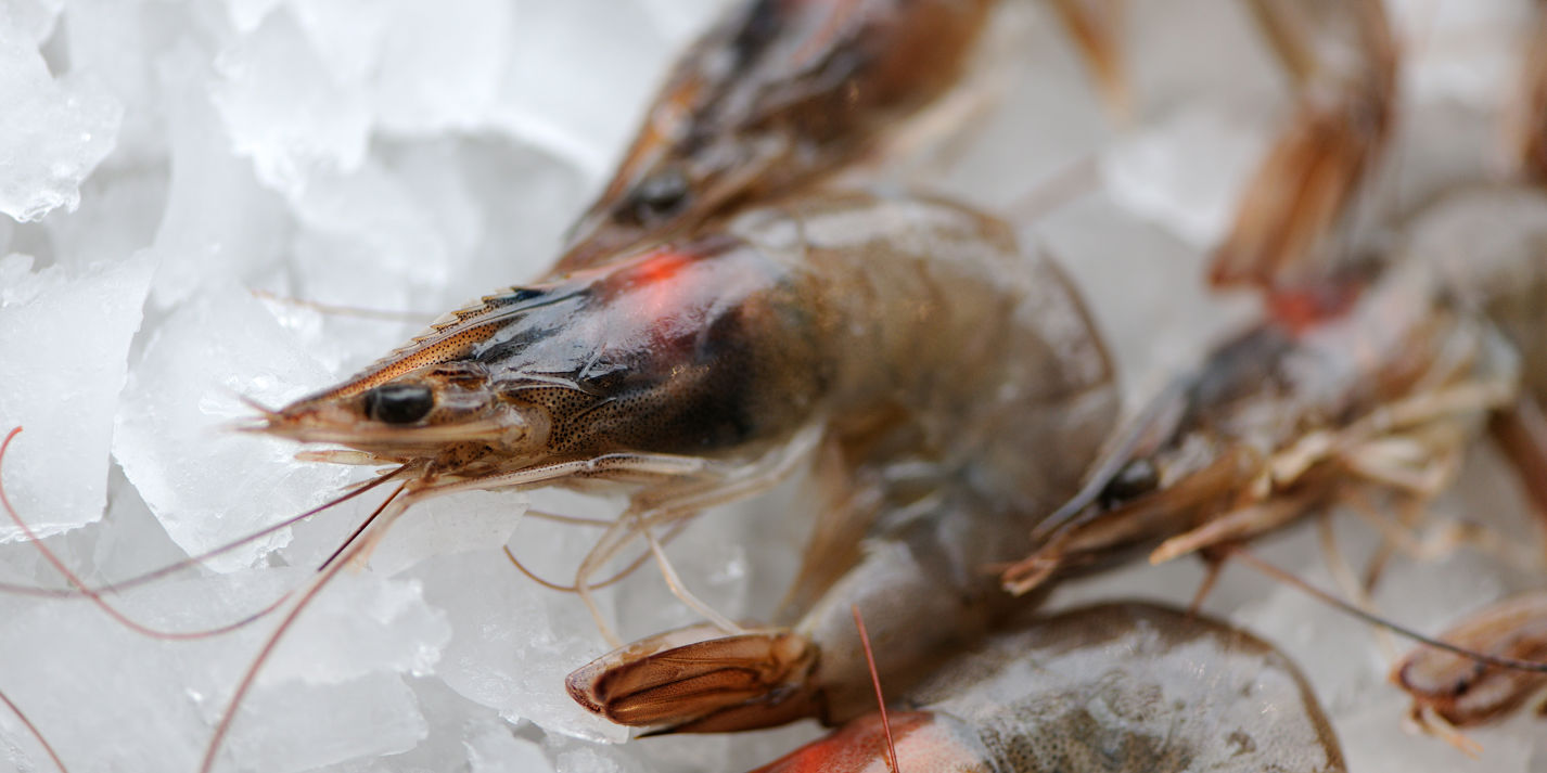 How To Barbecue Prawns - Great British Chefs