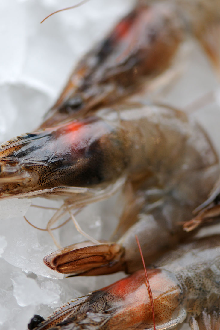 How To Barbecue Prawns - Great British Chefs