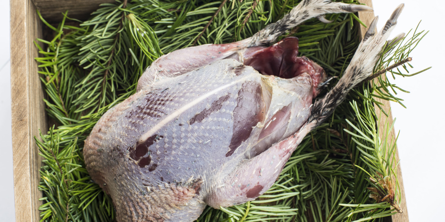 How to Cook Grouse - Great British Chefs