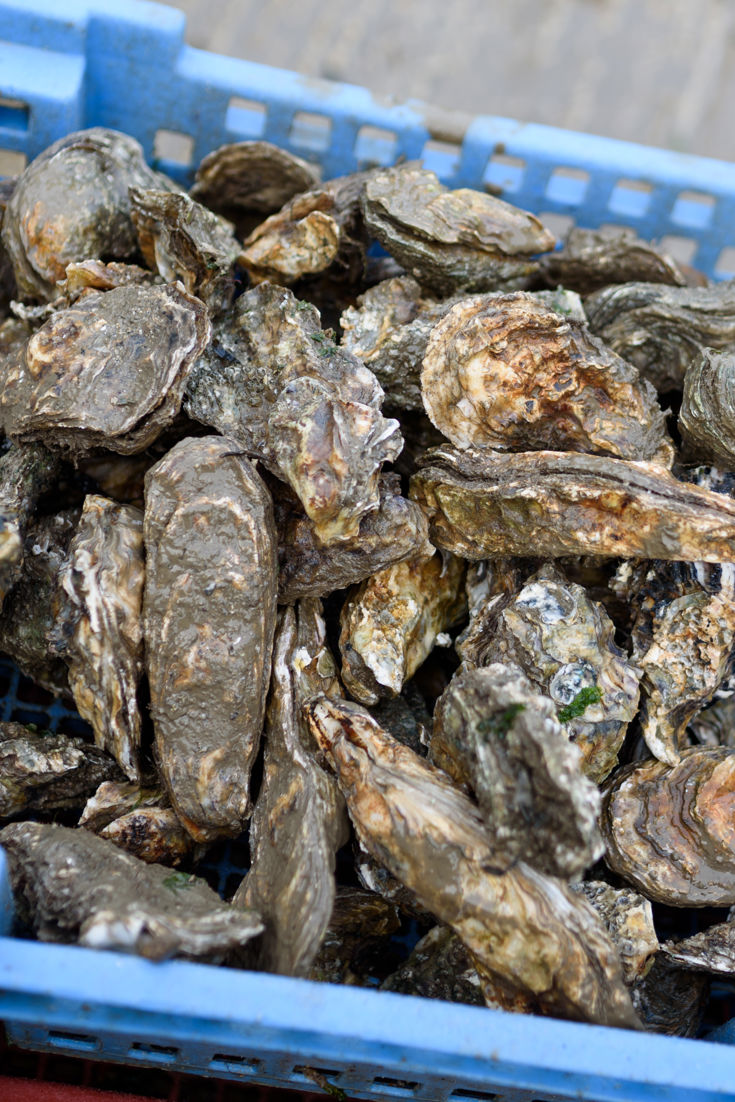 Meet Our Contributors – Kayleigh Rattle - Great British Chefs