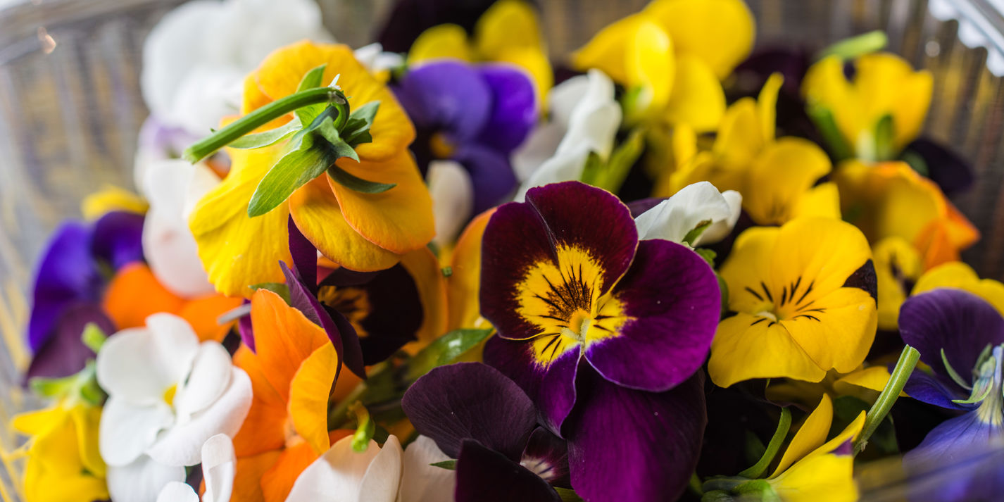 Cooking with Flowers - Great British Chefs
