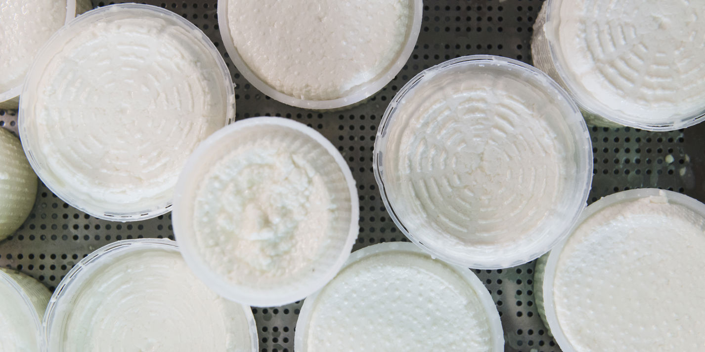 Five of our Favourite Ricotta Recipes - Great Italian Chefs