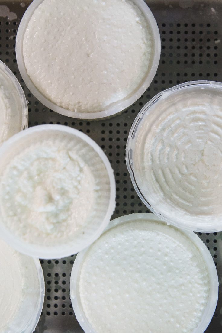 Five of our Favourite Ricotta Recipes - Great Italian Chefs