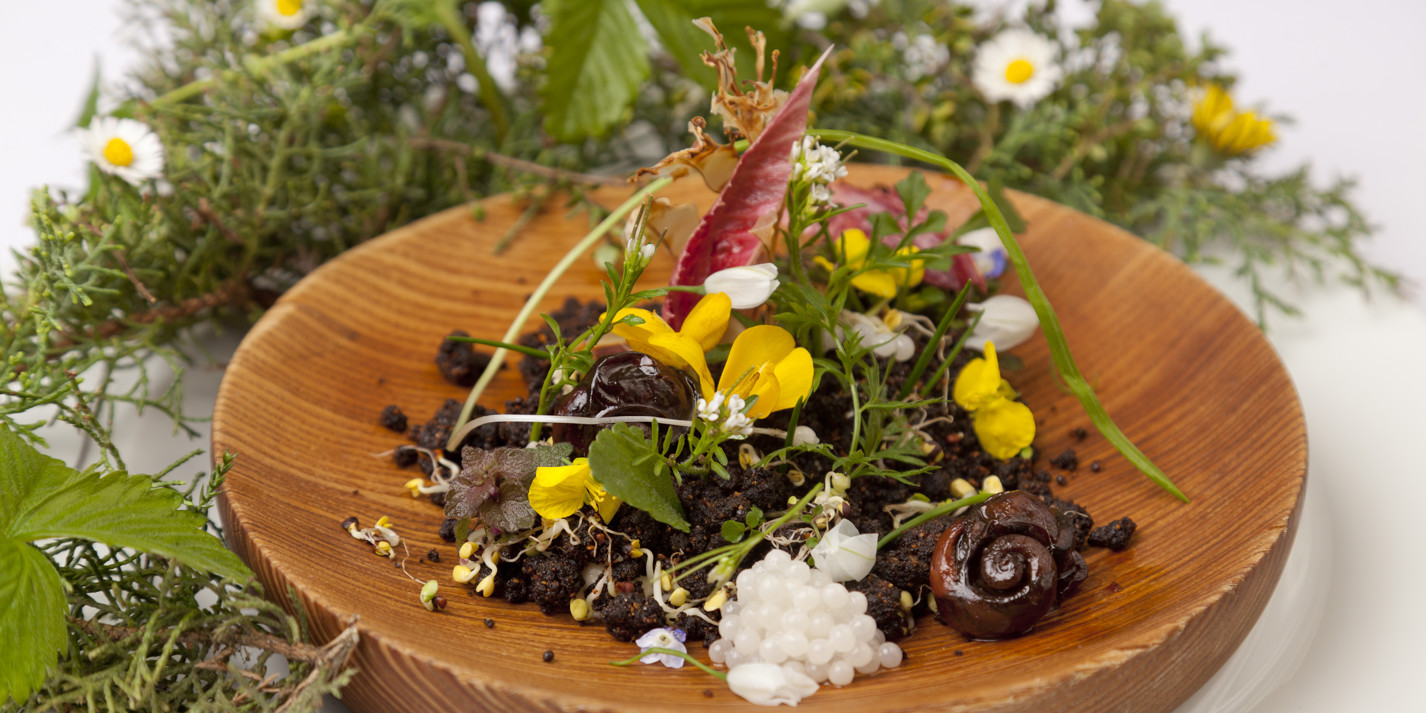 Snail Recipes - Great British Chefs