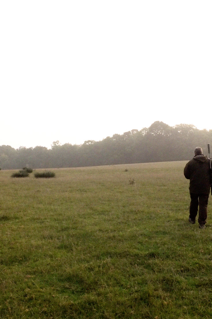 On the Hunt for Britain's Best Venison - Great British Chefs