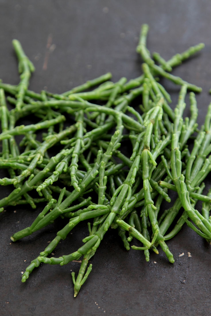 Samphire recipes - Great British Chefs