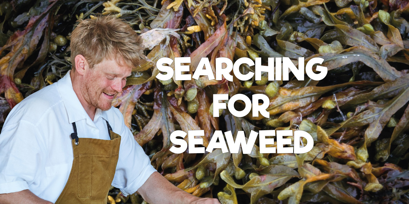 Sam Buckley: On Seaweed - Great British Chefs