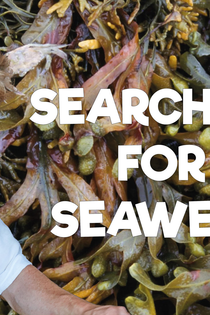 Sam Buckley: On Seaweed - Great British Chefs