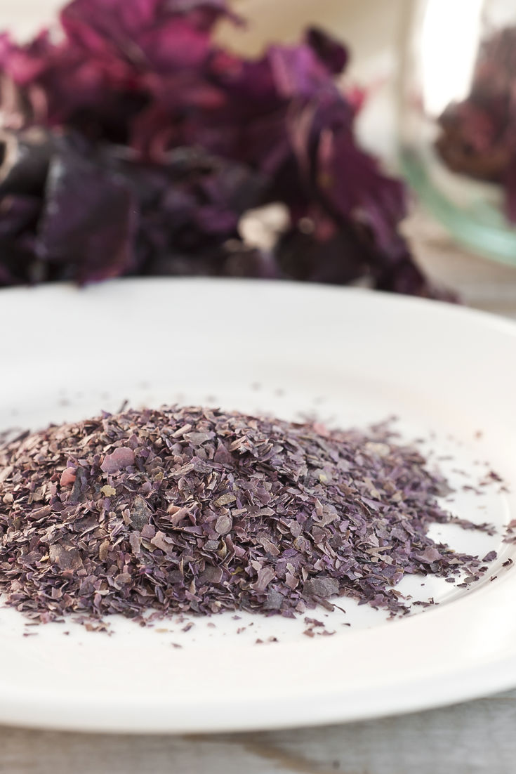 Dulse: The Return of a Forgotten Food - Great British Chefs