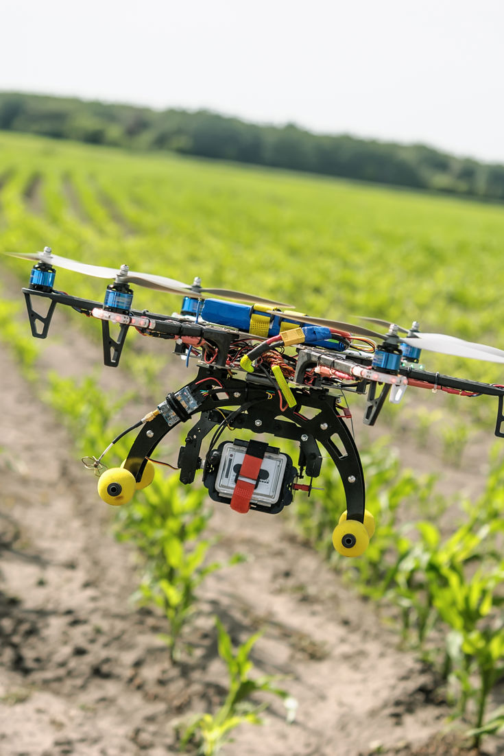 Modern Organic Farming - Great British Chefs