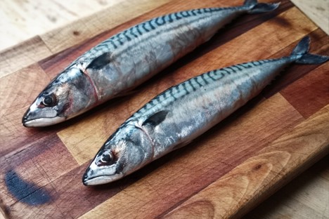 How to Pan-Fry Mackerel Fillets - Great British Chefs