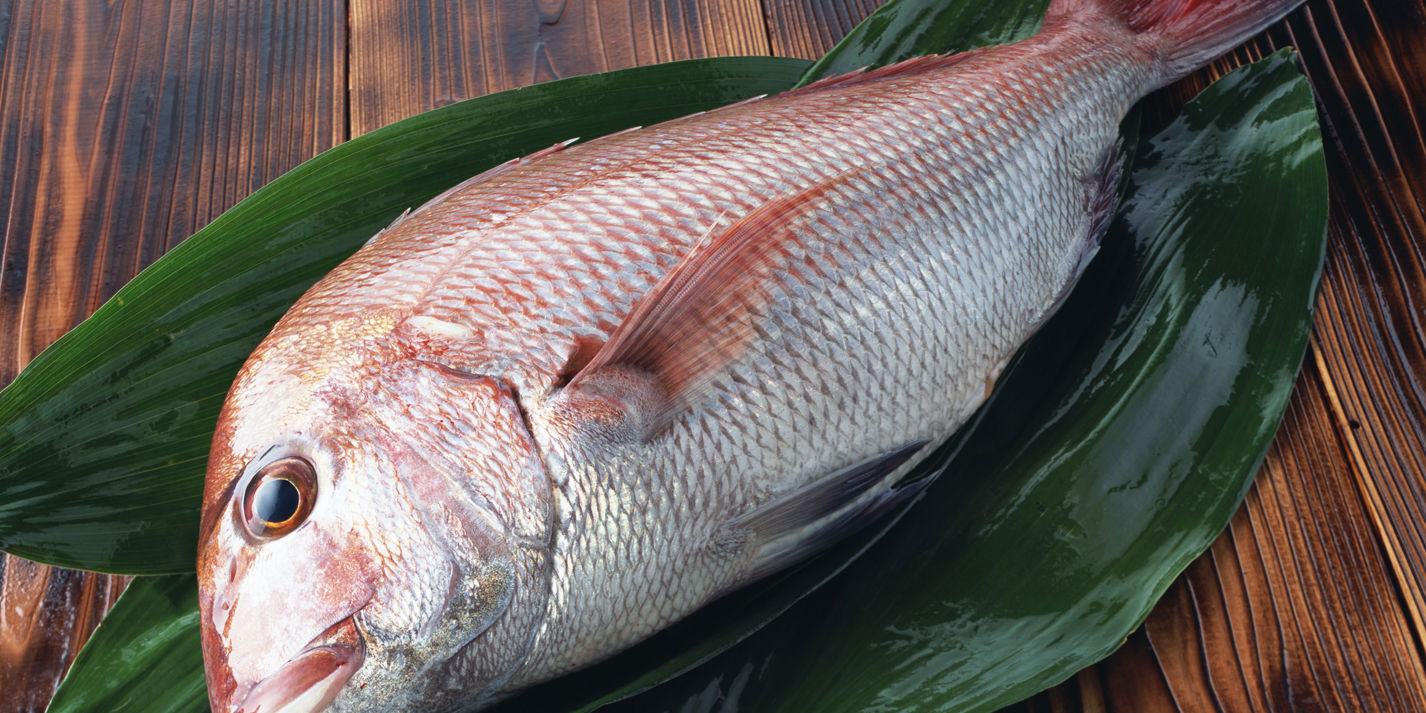 A guide to Japanese sea bream (tai) - Great British Chefs