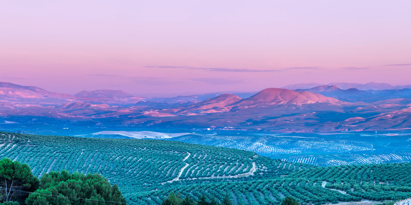 Everything you need to know about the food of Andalusia - Great British ...