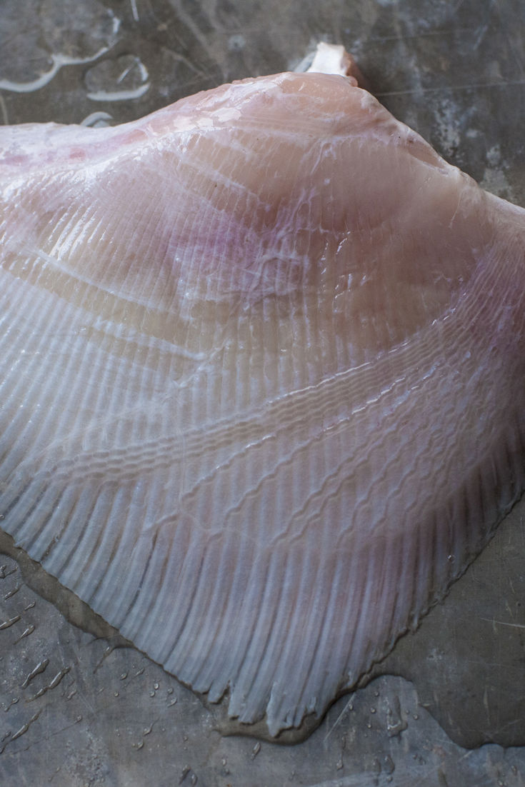 Skate Recipes: Pan-Fried, Poached Skate Wings - Great British Chefs