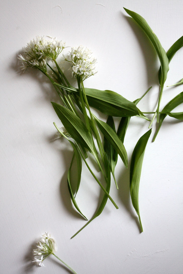 5 of the Best Wild Garlic Recipes - Great British Chefs